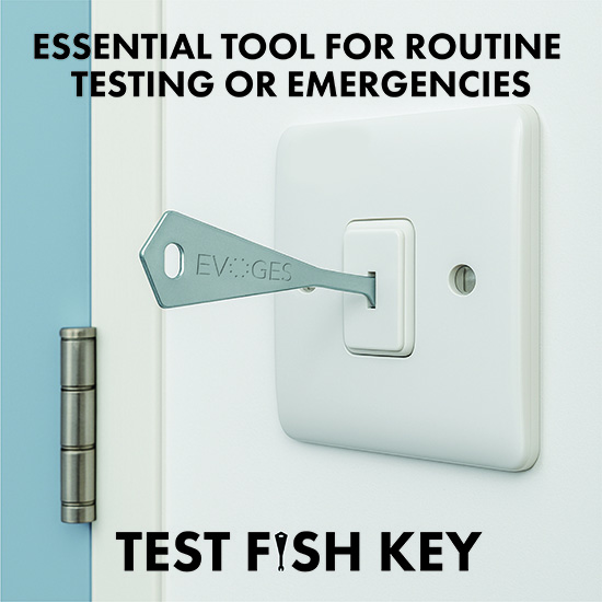 Replacement Test Fish Key for Emergency Light Switches | Durable ...